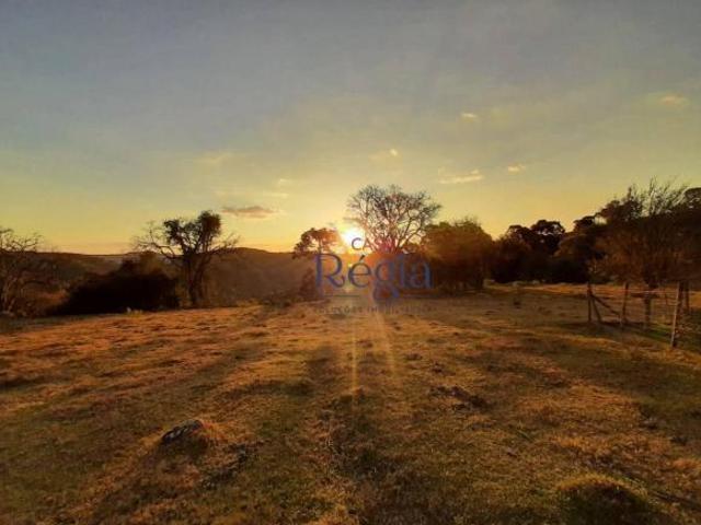 Sítio para venda em Caxias do Sul