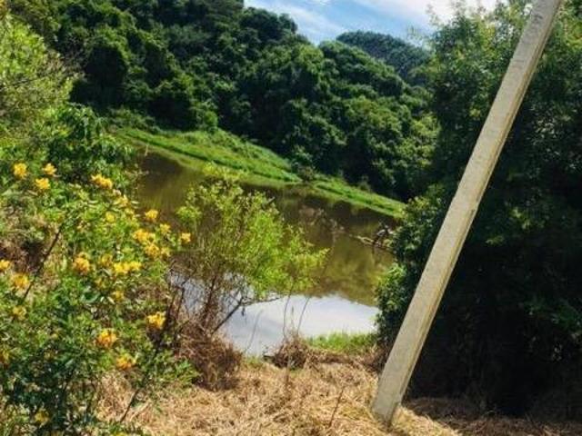 Sítio para venda em Centro, Tapiraí