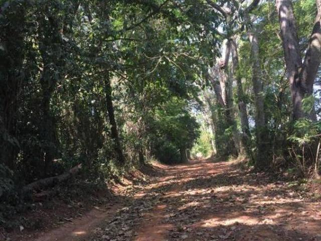Sítio para venda em Centro, Tietê