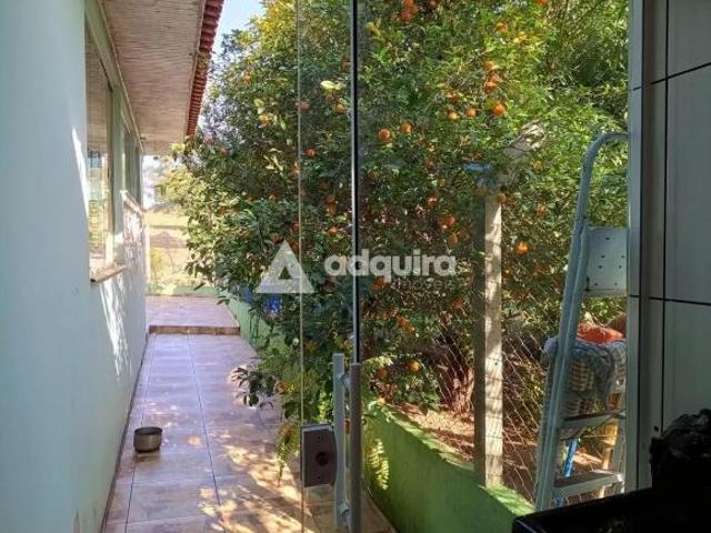 Chácara para venda em Centro, Tomazina