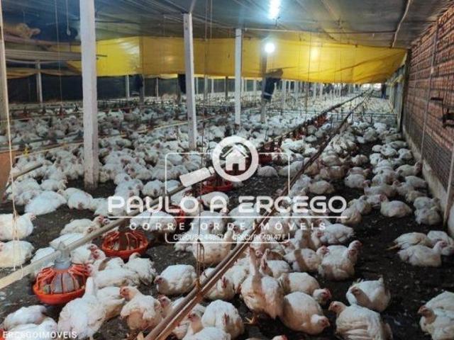 Sítio para venda em Centro, Três Barras do Paraná