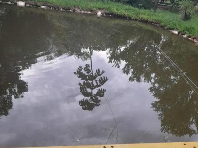 Fazenda para venda em Centro, Uberlândia