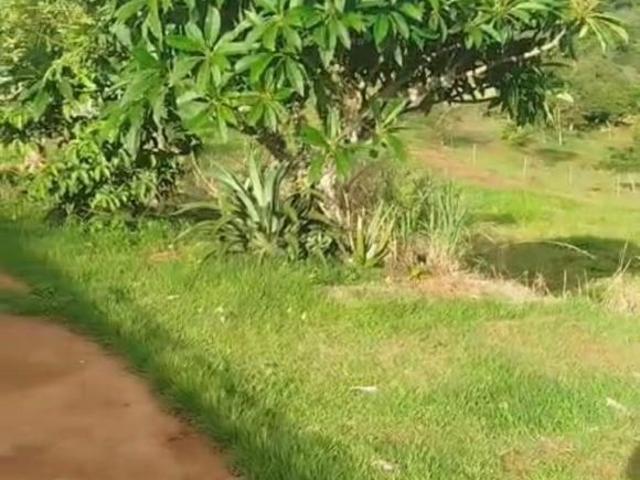Chácara para venda em Centro, Uberlândia