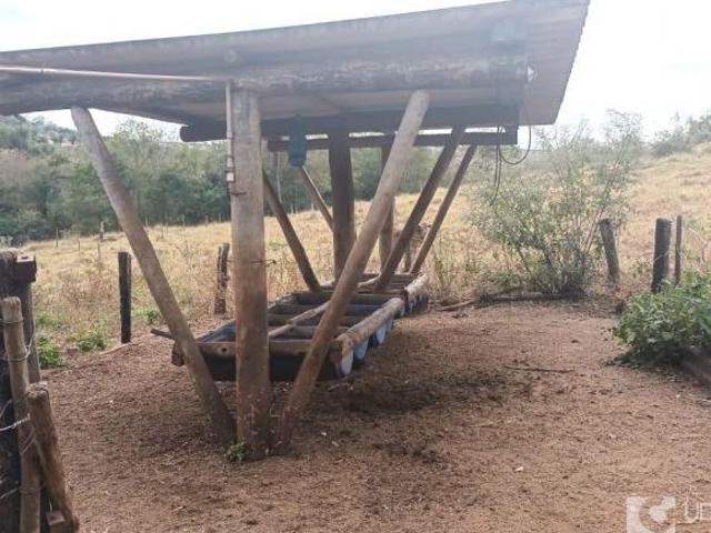 Sítio para venda em Centro, Uberlândia