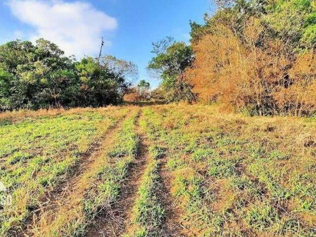 Sítio para venda em Centro, Viamão