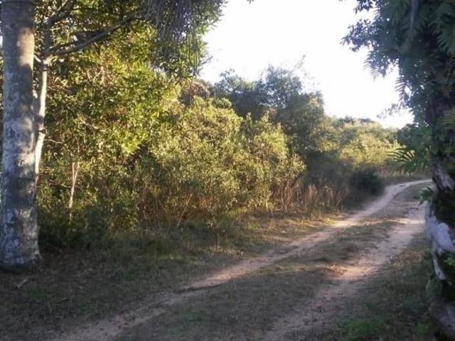 Sítio para venda em Centro, Águas Claras