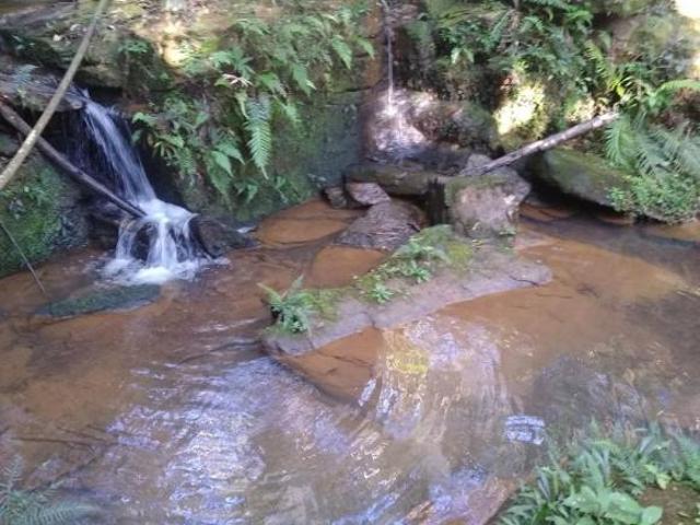 Sítio para venda em Centro, Andrelândia