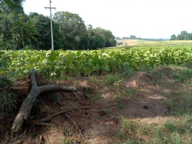 Sítio para venda em Centro, Antônio Olinto