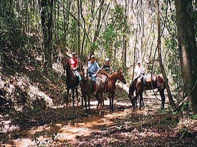 Sítio para venda em Centro, Araçoiaba da Serra