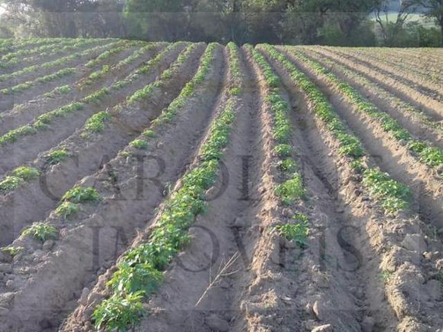 Sítio para venda em Centro, Barra do Ribeiro