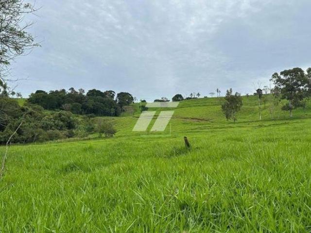 Sítio para venda em Centro, Boa Vista da Aparecida