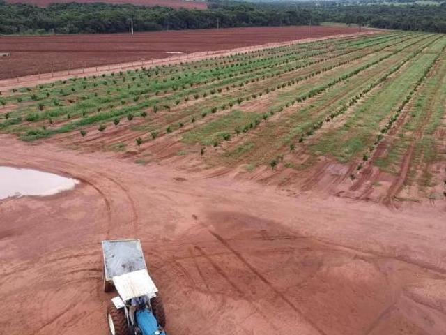 Sítio para venda em Centro, Campina Verde