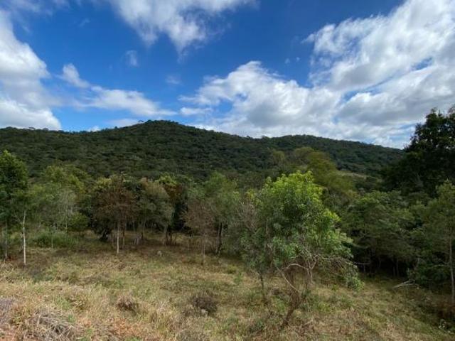 Fazenda para venda em Centro, Caeté