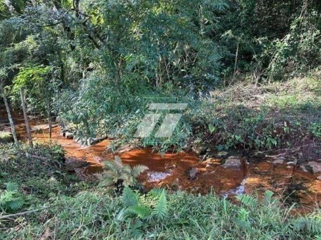 Sítio para venda em Centro, Cascavel