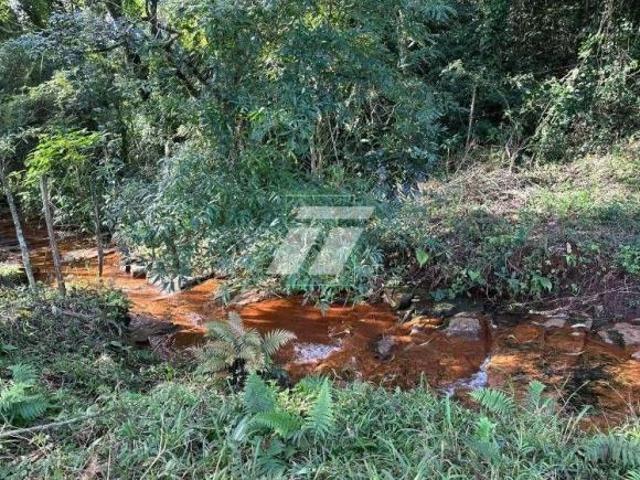 Sítio para venda em Centro, Cascavel
