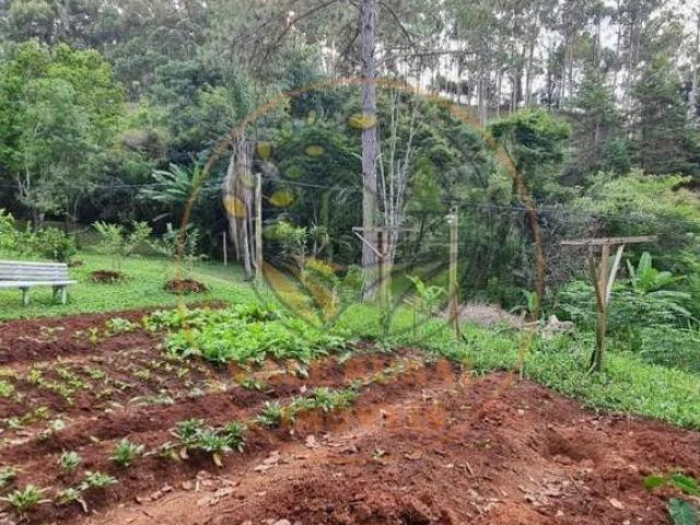 Sítio para venda em Centro, Cunha
