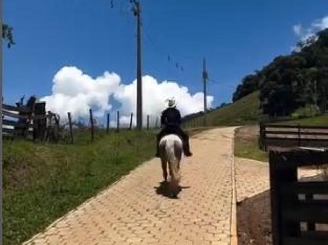 Sítio para venda em Centro, Gonçalves