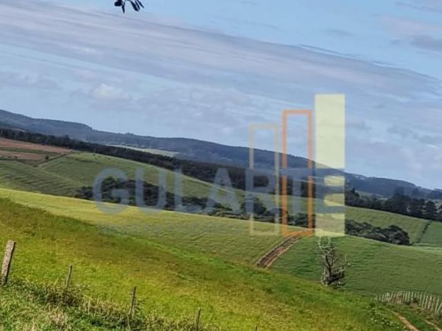 Sítio para venda em Centro, Guaíba