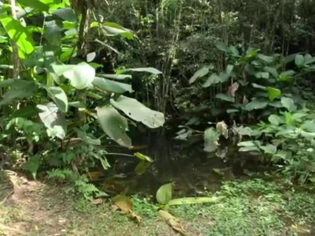 Sítio para venda em Centro, Ibiúna