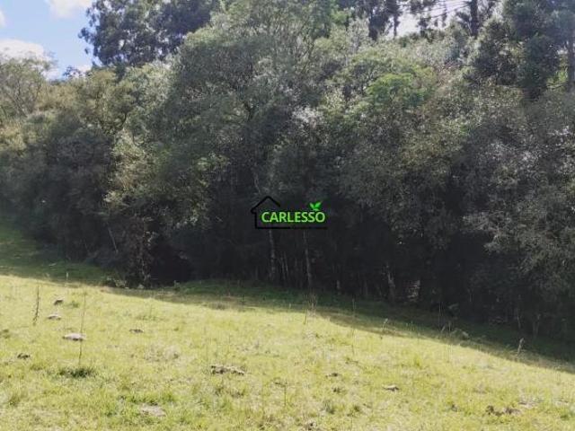 Sítio para venda em Centro, Ivorá