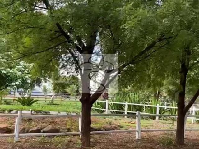 Sítio para venda em Centro, Janaúba
