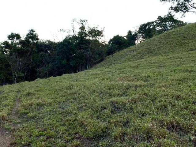 Sítio para venda em Centro, Monte Sião