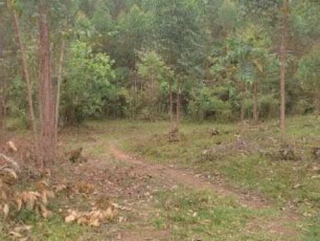 Sítio para venda em Centro, Paraibuna