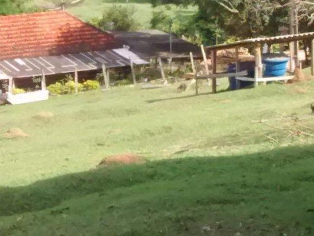 Sítio para venda em Centro, Paraisópolis