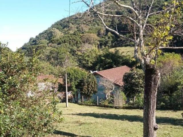 Sítio para venda em Centro, Pinhal