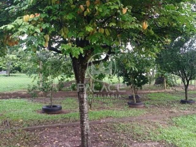 Sítio para venda em Centro, Piracicaba