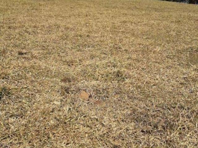 Sítio para venda em Centro, Pouso Alegre
