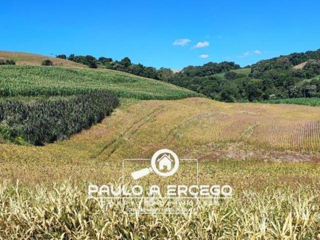 Sítio para venda em Centro, Renascença