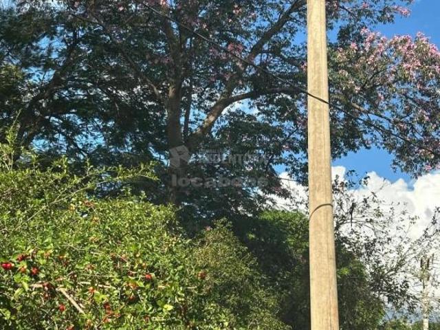 Sítio para venda em Centro Ribeiro dos Santos, Olímpia