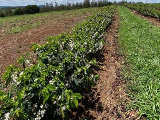 Sítio para venda em Centro, São Gonçalo do Sapucaí