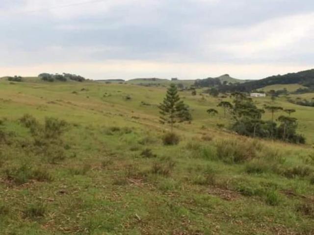 Sítio para venda em Centro, São Francisco de Paula