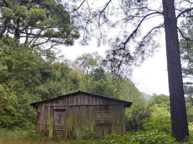 Sítio para venda em Centro, São Francisco de Paula