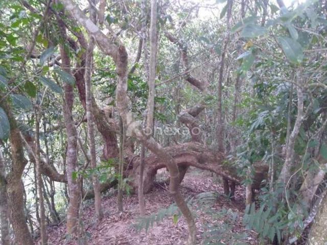 Sítio para venda em Centro, São Luiz do Paraitinga