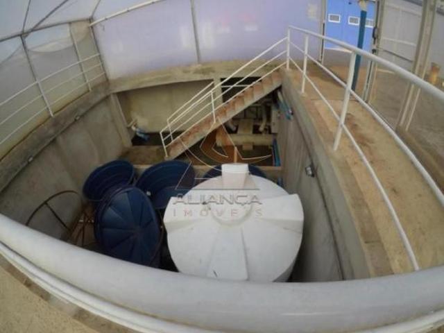 Sítio para venda em Centro, São Simão