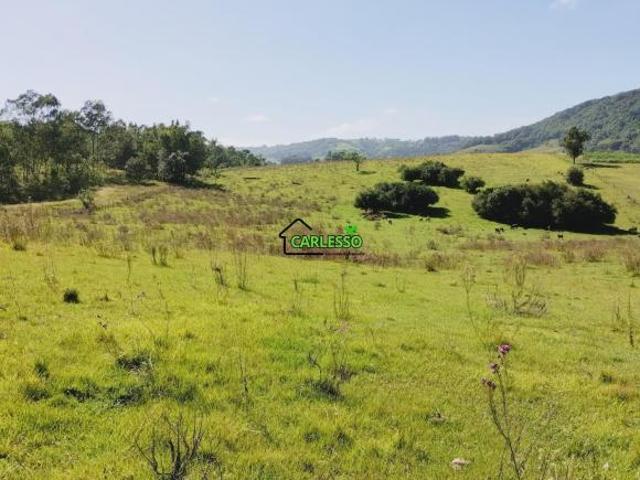Sítio para venda em Centro, São Pedro do Sul