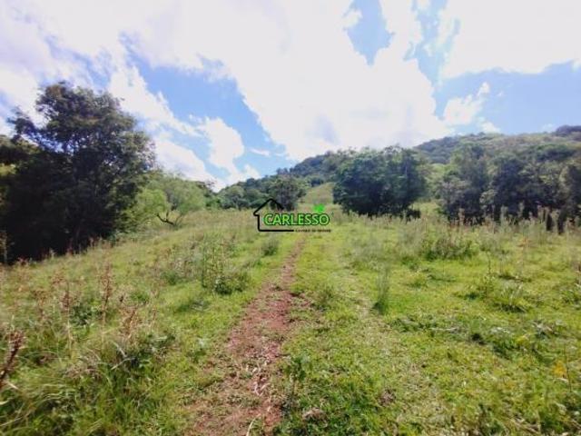 Sítio para venda em Centro, São Pedro do Sul