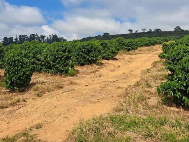 Sítio para venda em Centro, Santana da Vargem