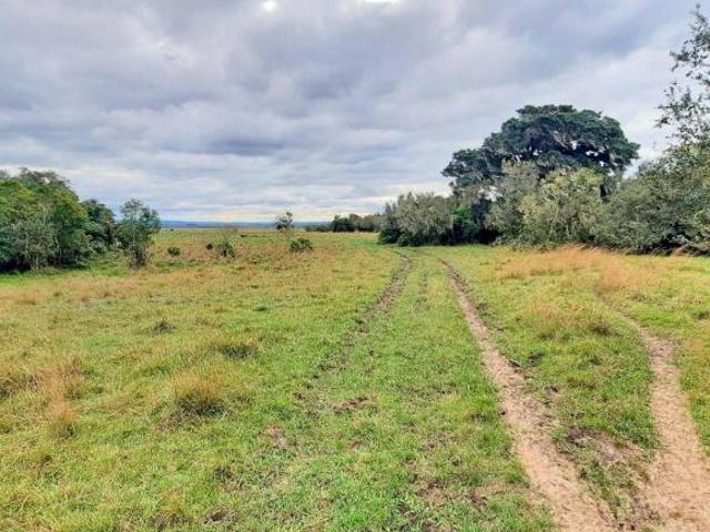 Sítio para venda em Centro, Santo Antônio da Patrulha