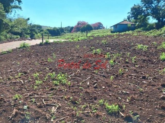 Sítio para venda em Centro, Santo Antônio da Platina