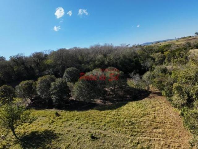 Sítio para venda em Centro, Santo Antônio da Platina