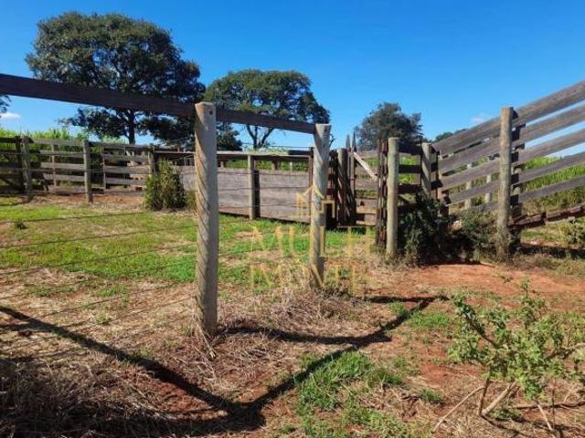 Sítio para venda em Centro, Santo Antônio do Aracanguá