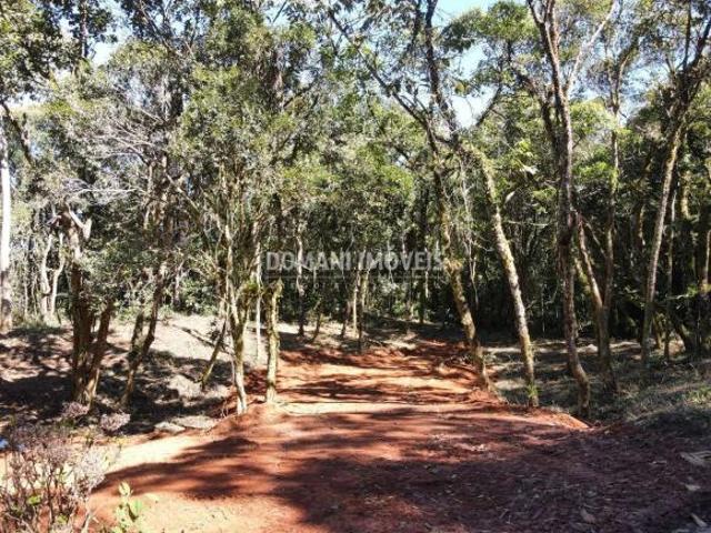 Sítio para venda em Centro, Santo Antônio do Pinhal