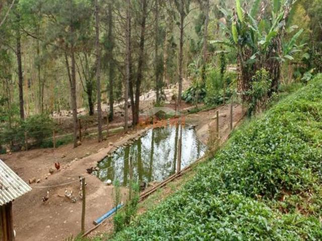 Sítio para venda em Centro, Salto de Pirapora