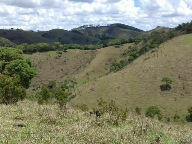 Sítio para venda em Centro, Silveiras
