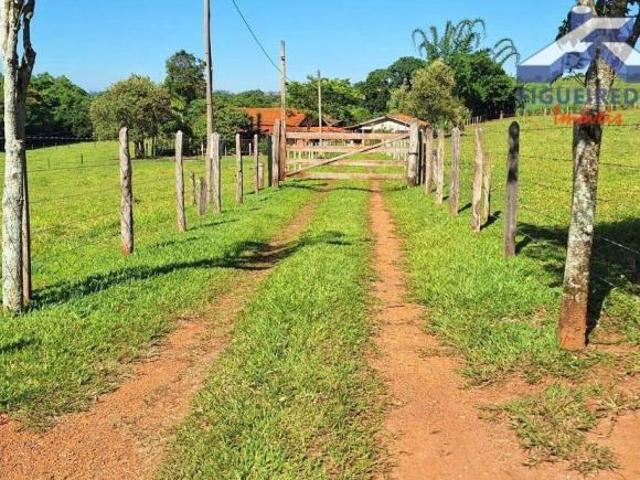 Sítio para venda em Cesário Lange