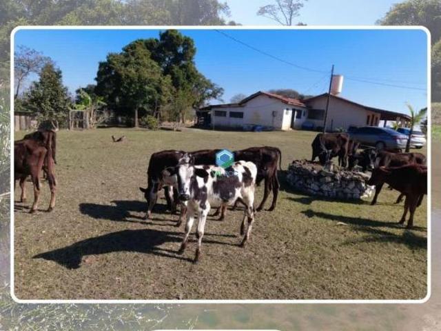 Sítio para Venda em Cerquilho, ZONA RURAL, 4 dormitórios, 1 suíte, 3 banheiros, 3 vagas